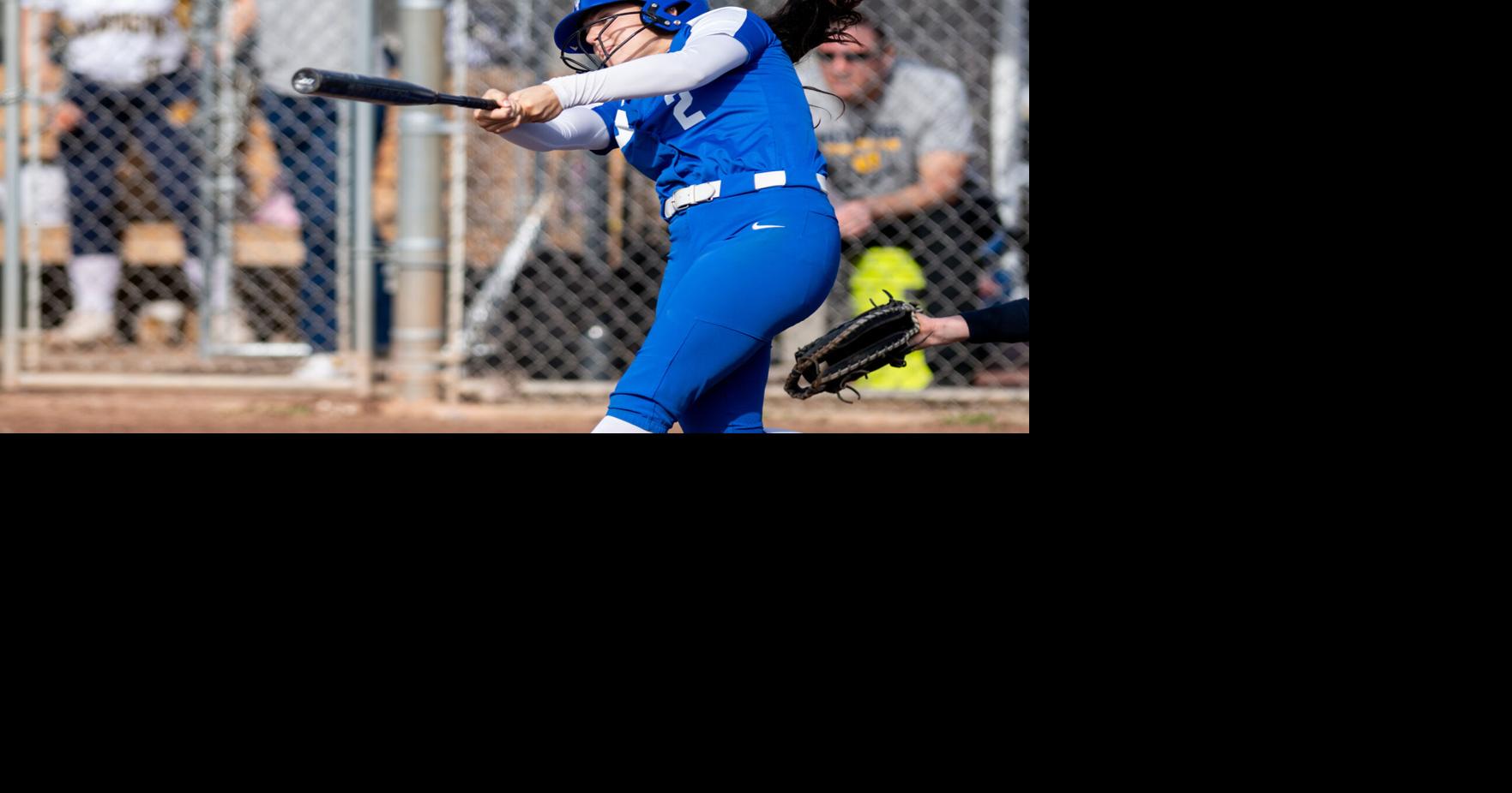 Sharpsville's Palko Class 2A Softball Player of the Year; Vogan, Marley ...