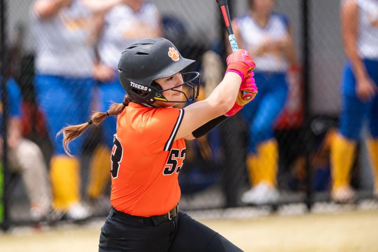 Sharon Survives: Vogan's 2-run homer in 8th inning sends Tigers past ...