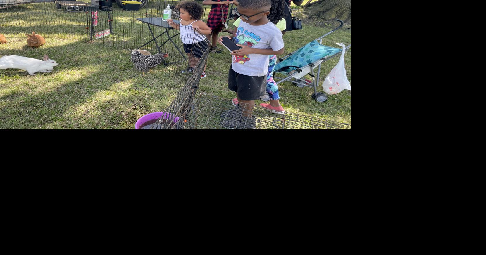 Saturday a fine day for the Farrell Festival | News | sharonherald.com