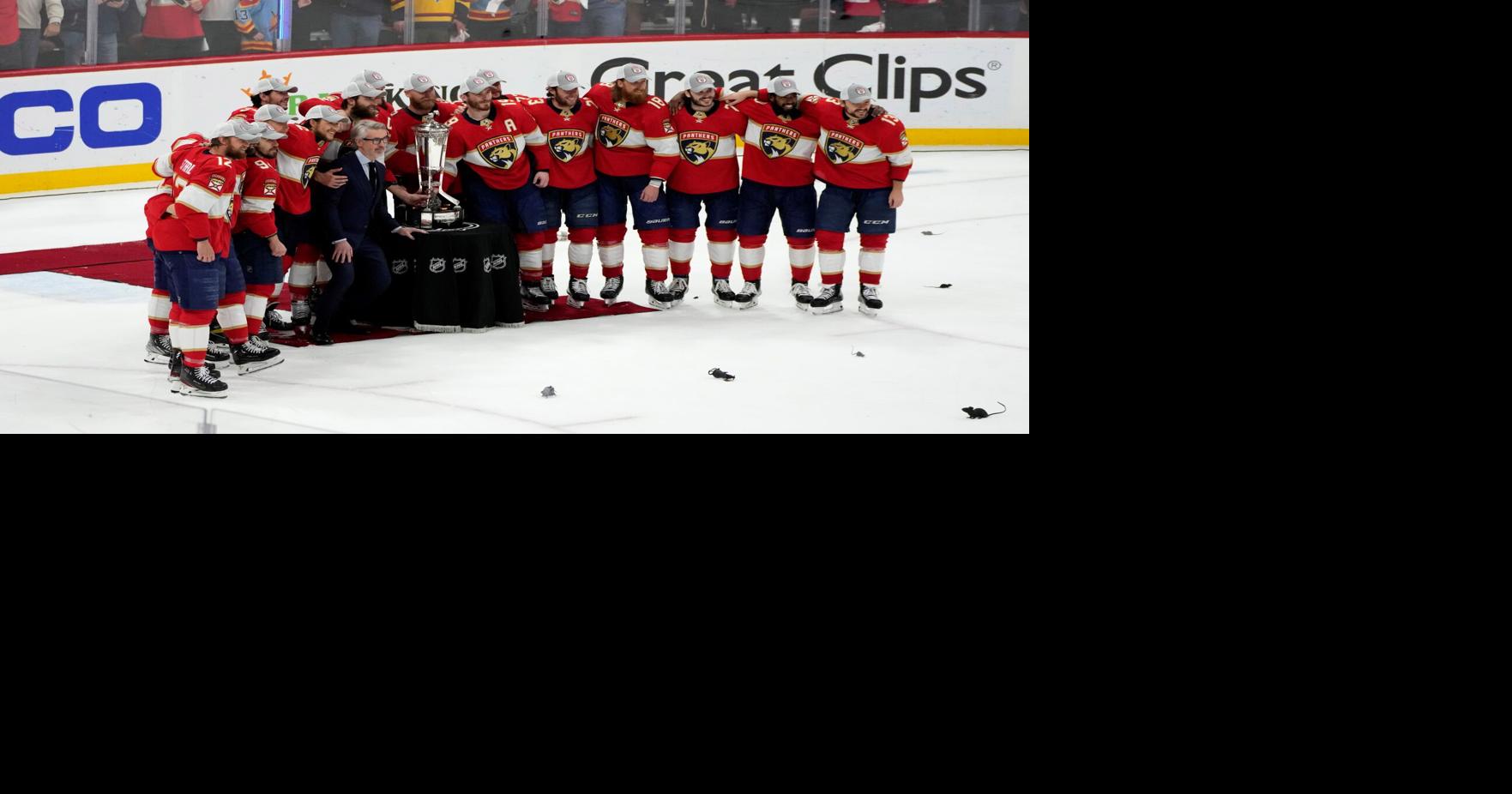 Vegas-Florida Stanley Cup Final pits top team in West against upstart ...