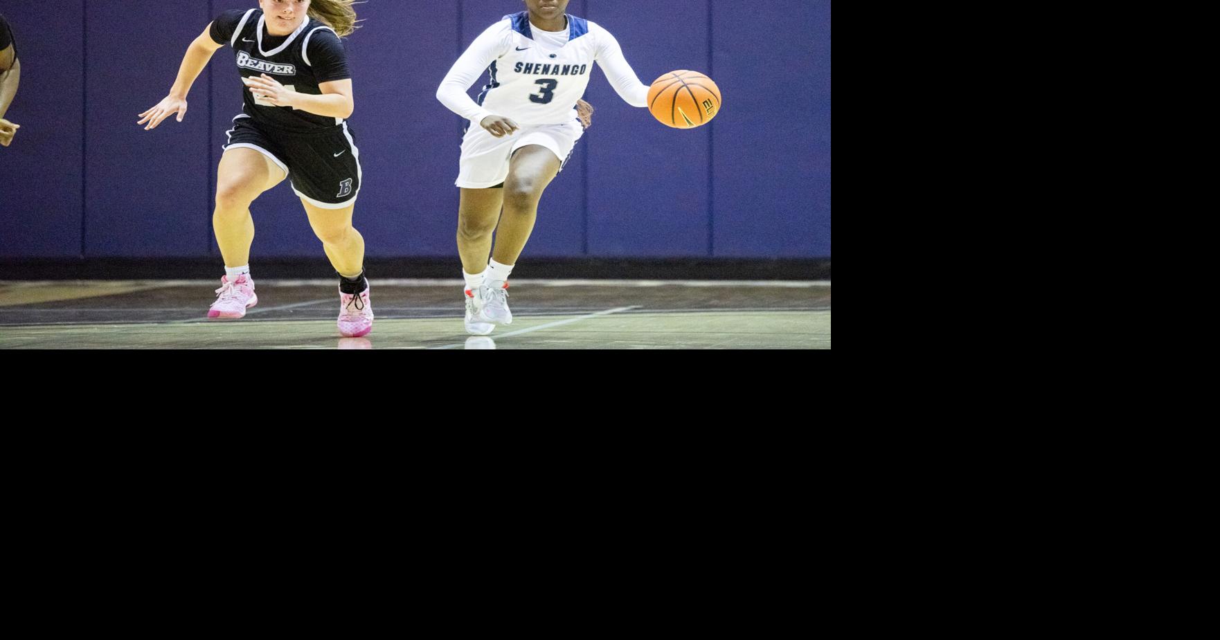 Sellers, Sefton lead Penn State Shenango in PSUAC semifinal loss to ...