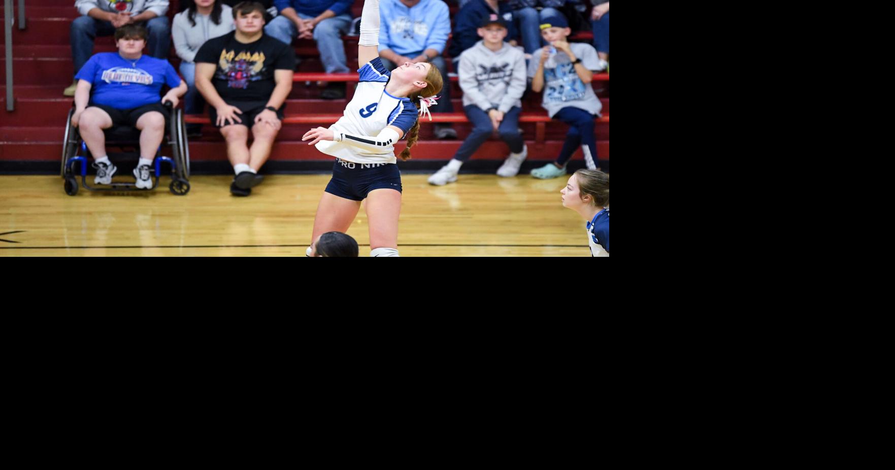 Sharpsville falls in four, Mercer falls in five in playoff doubleheader ...