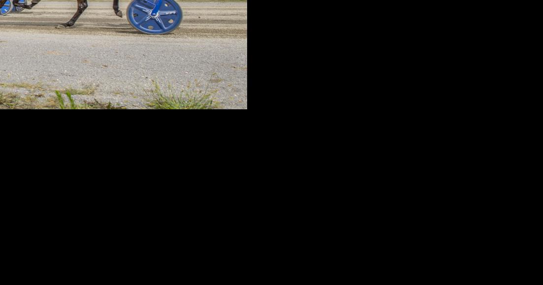 Like the fair itself, Stoneboro’s harness racers is part of grand ...