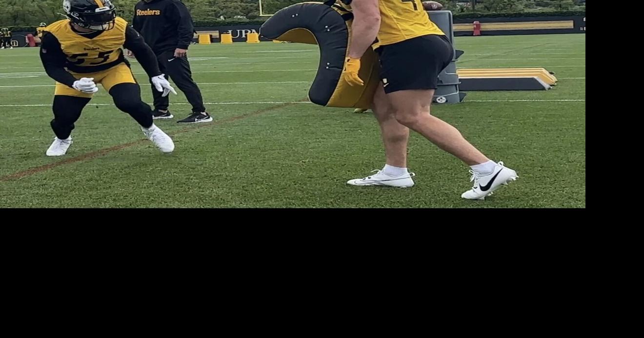 Steelers Notebook: LB Cole Holcomb makes his comeback | Sports ...