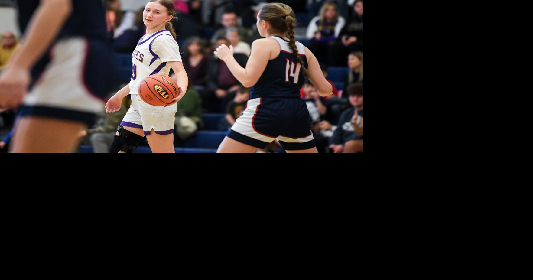 Jamestown falls to Cardinals in opening round of 1A playoffs | Local ...