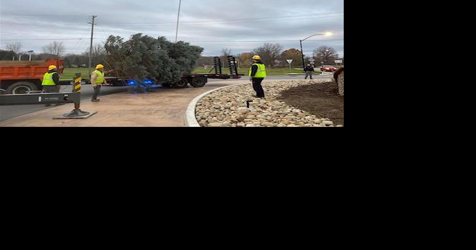 Christmas tree installed at Hermitage roundabout | News | sharonherald.com