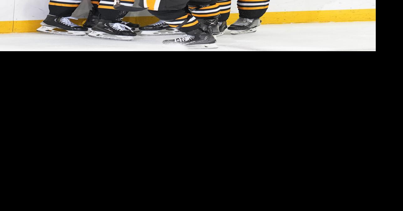 Malkin's late goal lifts Penguins past Stars, 2-1 | Sports ...