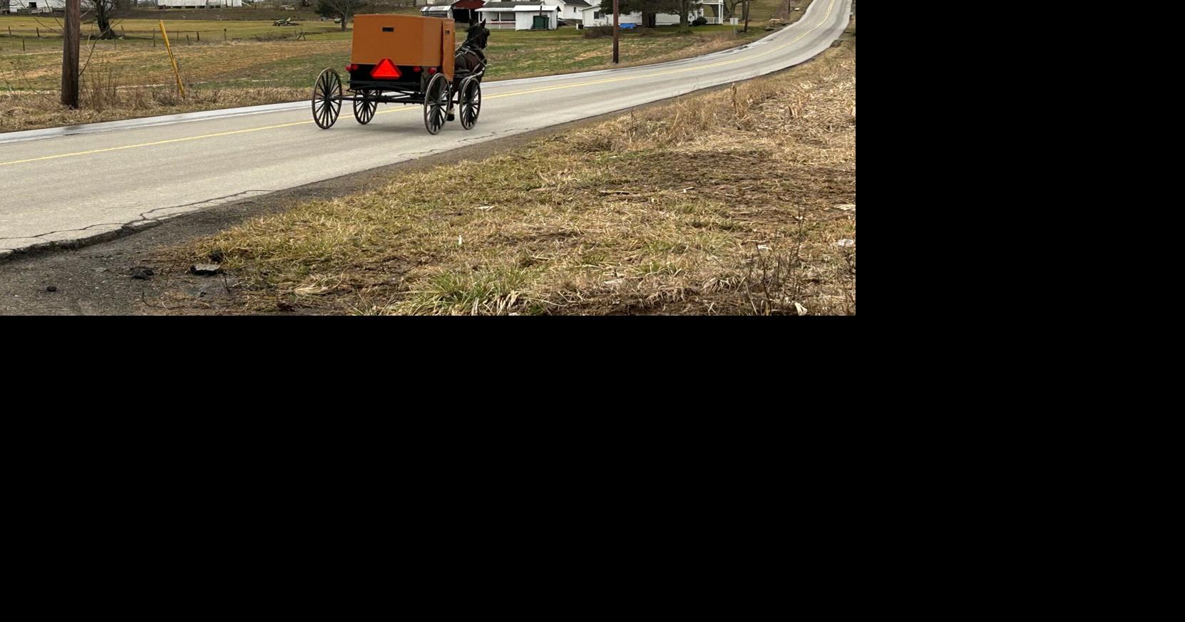 Amish buggy crash victim described as good neighbor | News ...