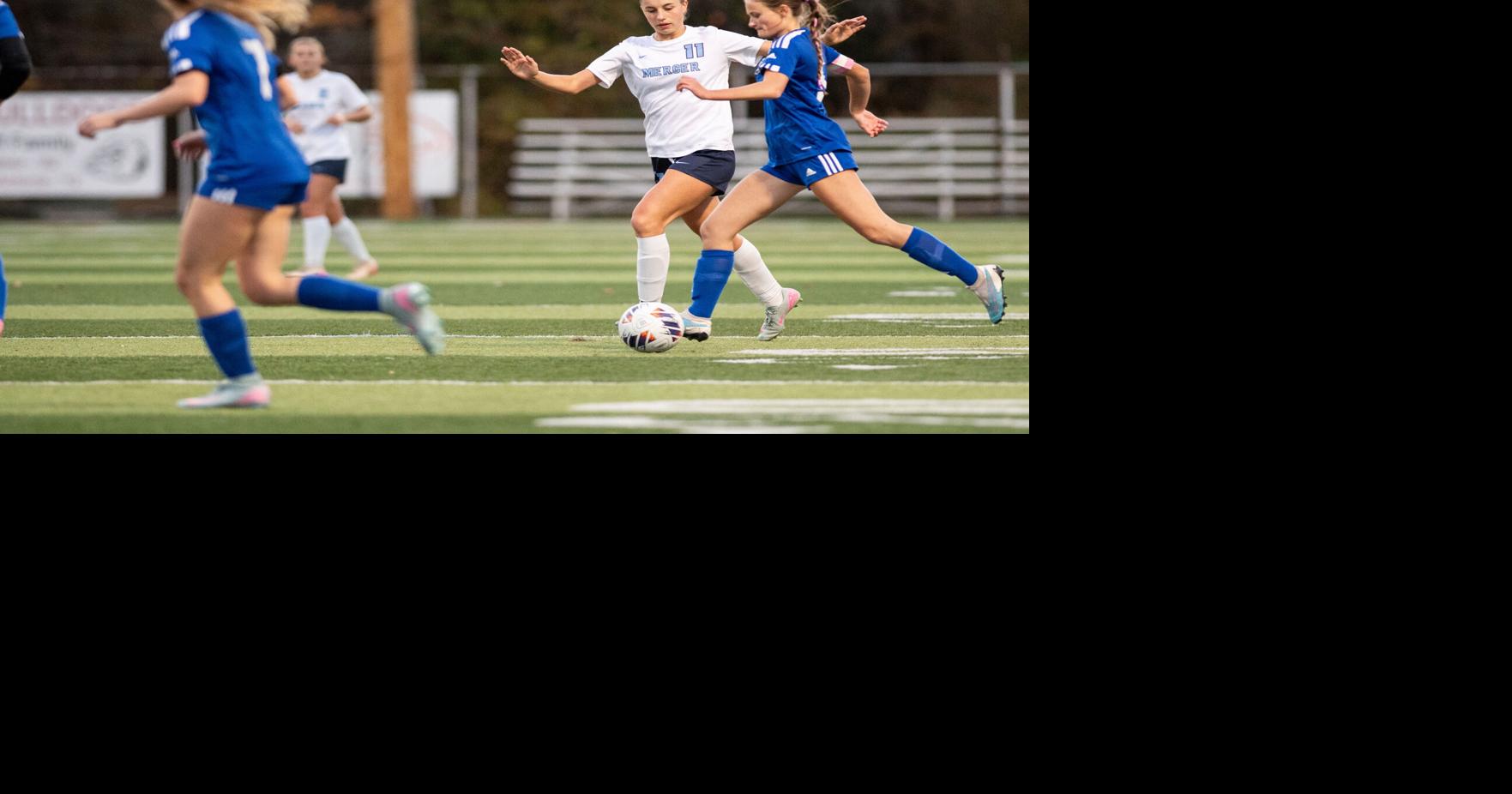 Mercer girls, Wilmington boys soccer teams suffer tough 1-0 losses in D ...