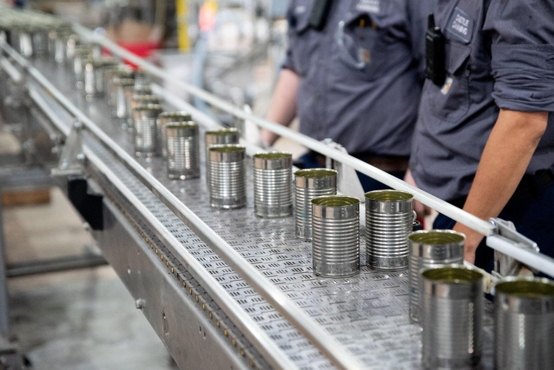 Castle Canning creating a local food kingdom in Sharon | News ...