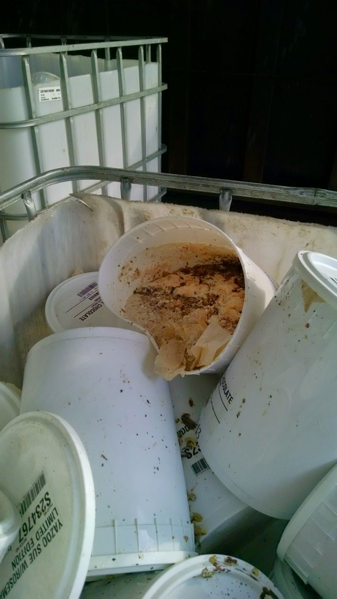 Waste not – want! Sewer plant officials find splendor in tainted ice ...