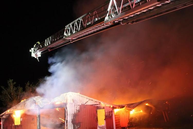 Fire destroys Mercersburg chicken barn | Community News | shipnc.com