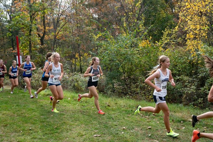 Greyhounds compete at Cross Country District III Championships | Sports ...