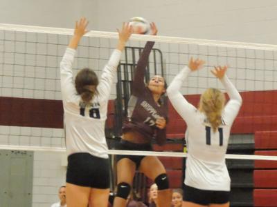 Greyhound volleyball unable to sustain fast start against Northern ...
