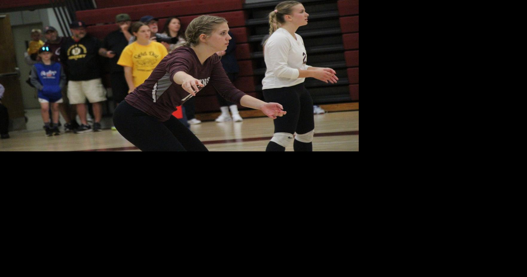 Lady Hounds Volleyball | | shipnc.com
