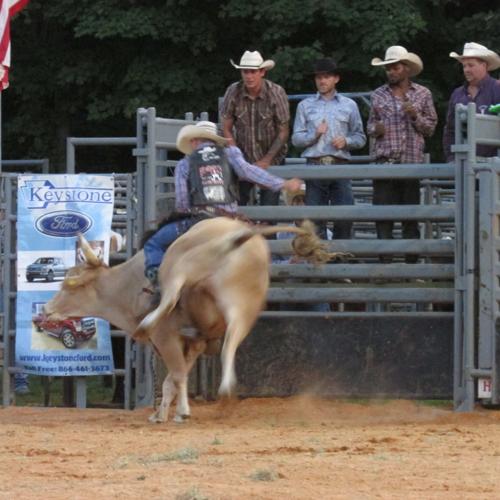 By the horns: Annual Bull Ride excites Roxbury crowd | Local News ...