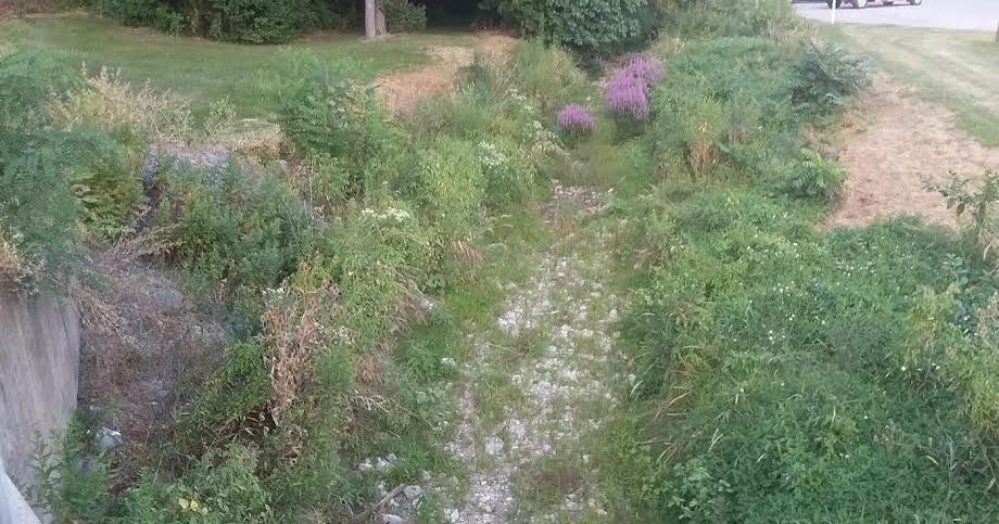 STREAM OF CONSCIOUSNESS: A river that flowed | Stream of Consciousness ...