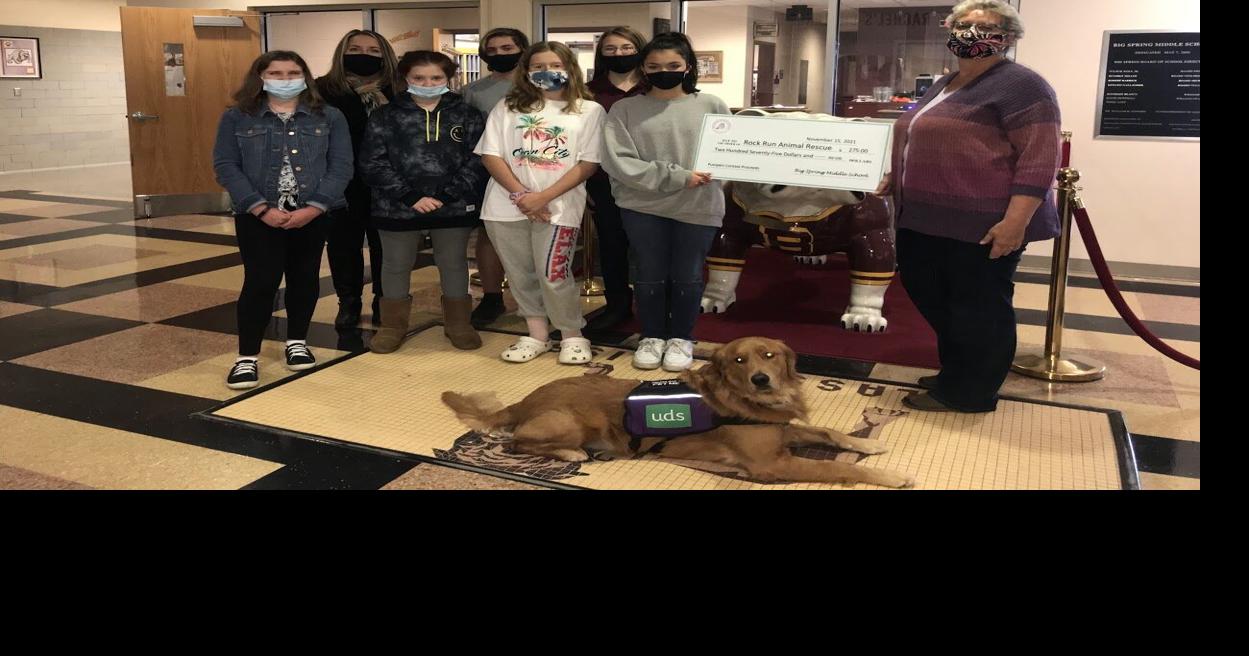 Big Spring middle schoolers support Rock Run Animal Rescue | Vts News ...
