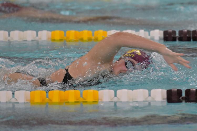 Bulldog Swimming Splits Meet with the Greyhounds | Valley Times Star ...
