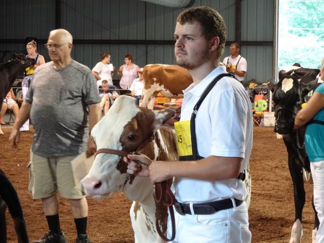 Dickinson Twp. cow takes top honors at Holstein Show | Local News ...