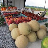 Summer is here and so is fresh produce | The Valley Times Star | shipnc.com