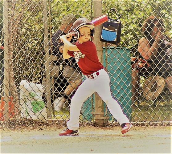 Big Spring Bulldogs 9U finishes Baseball in the Valley Tournament 2-1 ...