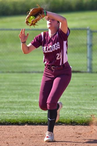 Bulldog Softball Drops Semi-Final Then Rebounds For State Berth ...