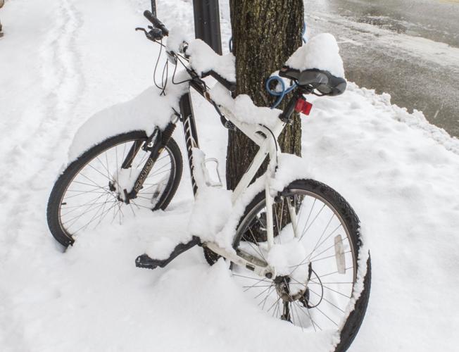 Stella dumps 10 inches of snow on Shippensburg | Local News | shipnc.com