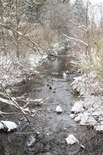 Stella dumps 10 inches of snow on Shippensburg | Local News | shipnc.com