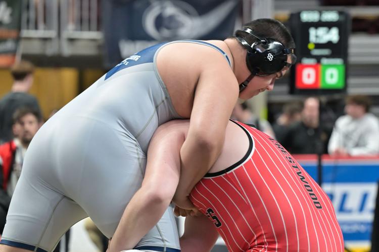 Trojan Wrestling Closes Out Season At States | Chambersburg | shipnc.com