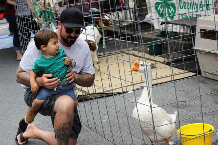 Small-town pride shines during annual Fountain Festival | Vts News ...