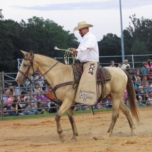 By the horns: Annual Bull Ride excites Roxbury crowd | Local News ...