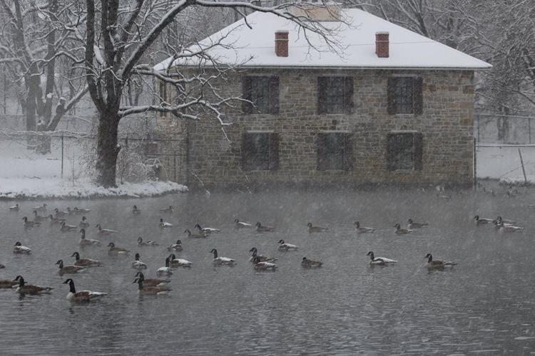 Snow falls in Shippensburg | Community News | shipnc.com