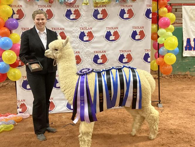 Big Spring FFA discusses the future | Vts Community News | shipnc.com