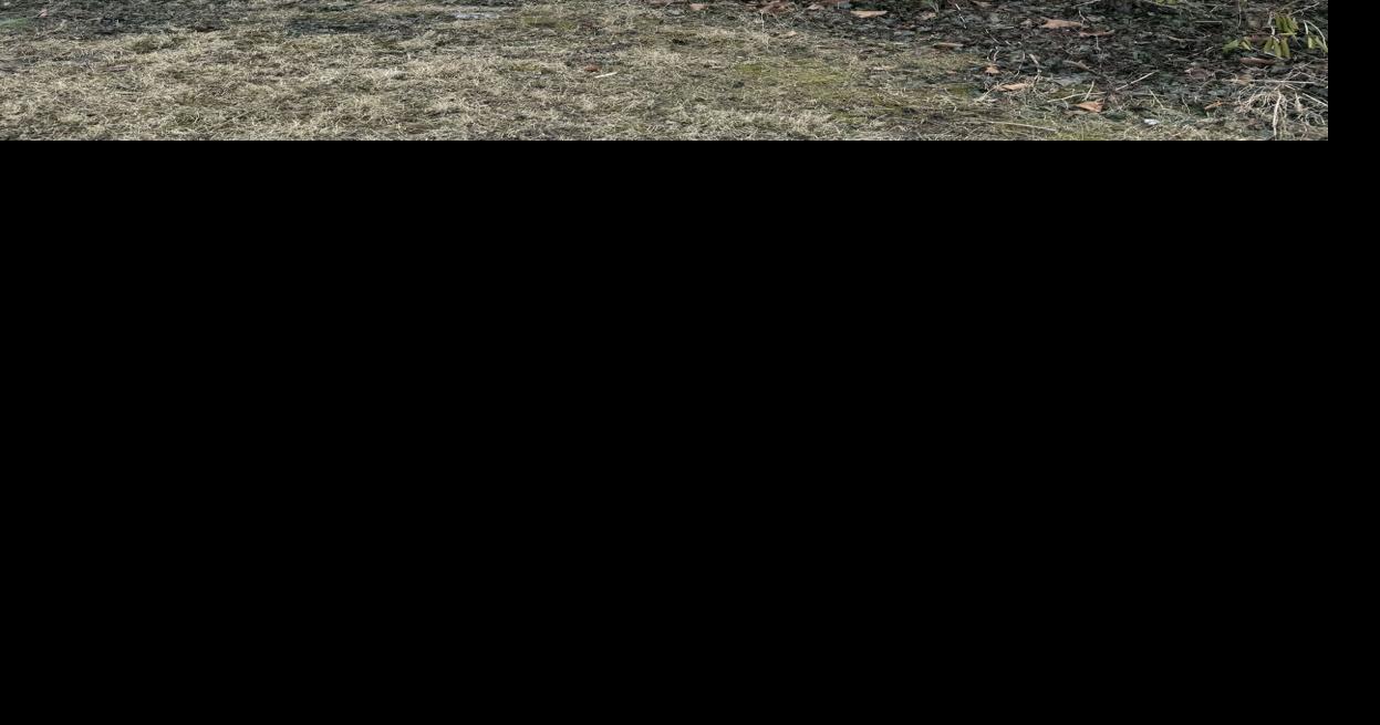 Exploring Newville, Then & Now | Valley Times Star | shipnc.com