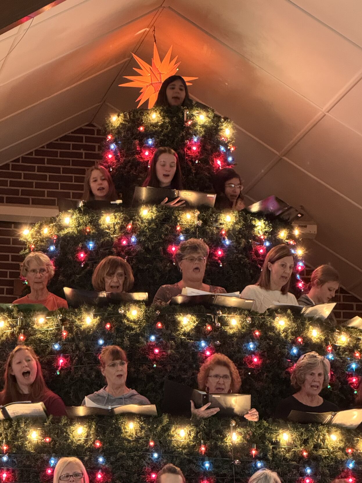 The Living Christmas Tree-a Holiday Tradition | | shipnc.com