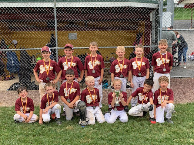 Big Spring Bulldogs 8U team comes in 2nd in 2019 Bulldog Bash ...