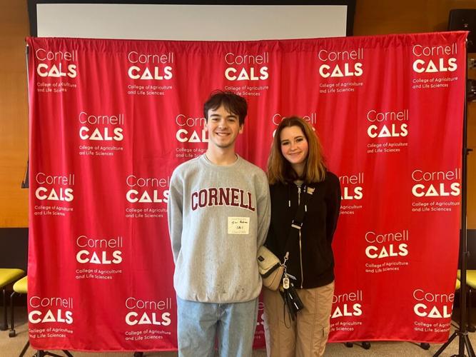 Big Spring seniors prepare for their next chapter | | shipnc.com