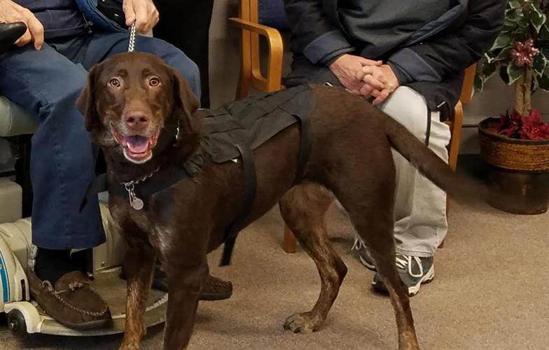 Rescue dog paired with local Veteran for Save-A-Vet, Save-A-Pet ...