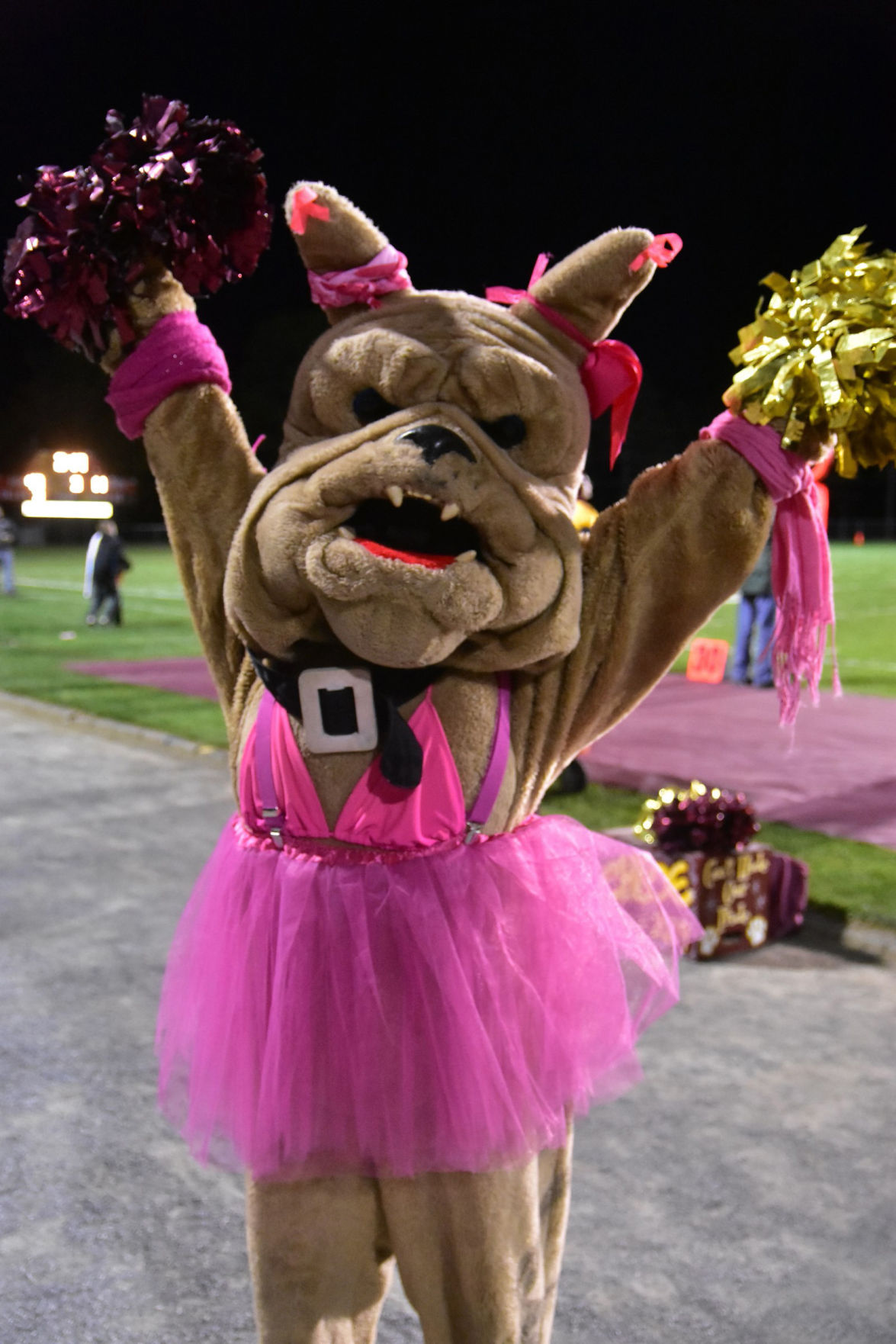 Big Spring goes all pink for breast cancer! | Vts News | shipnc.com