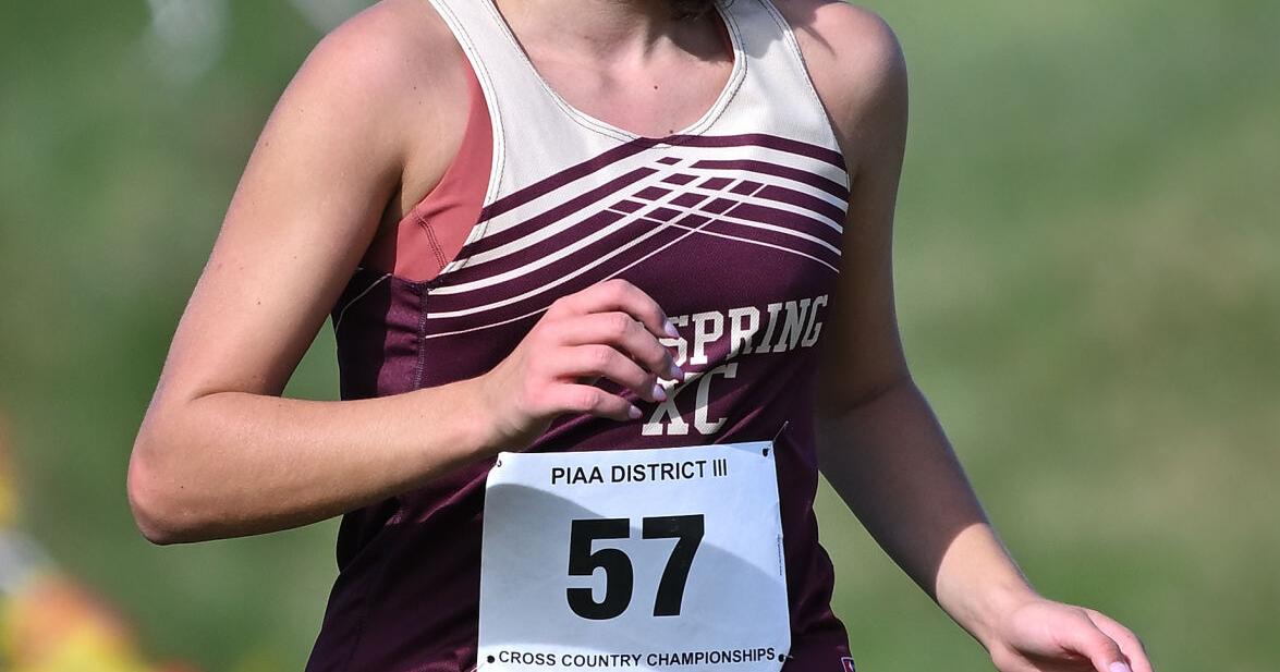 Big Spring Cross Country Qualifies Two For States | Valley Times Star ...