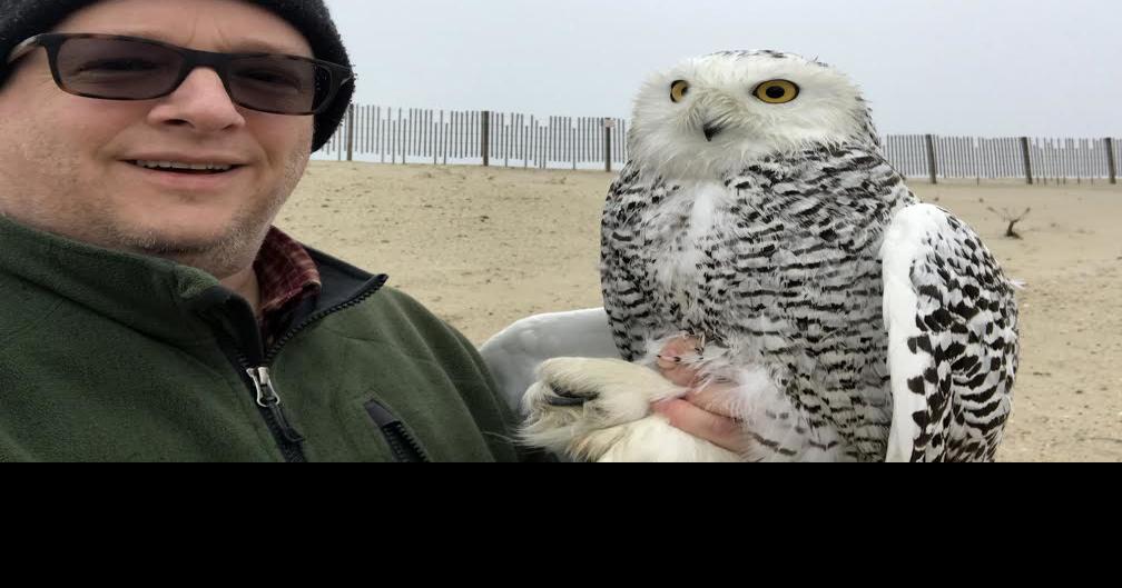 Project SNOWStorm & Project OwlNet: Thurs., Nov. 21 | Community News ...