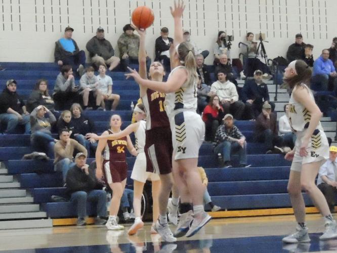 Lady Bulldogs drop District 3 Class 4A consolation semifinal clash to ...