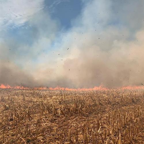 Area responders battle another Greene Twp. cornfield fire | Local News ...