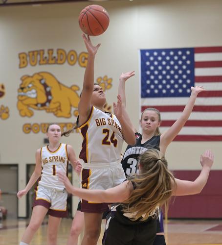 Lady Bulldogs fall to Northern | Vts Sports | shipnc.com