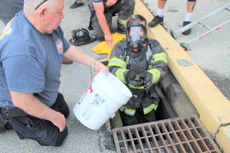 Duck tales: Ship residents, responders rescue, reunite ducklings ...