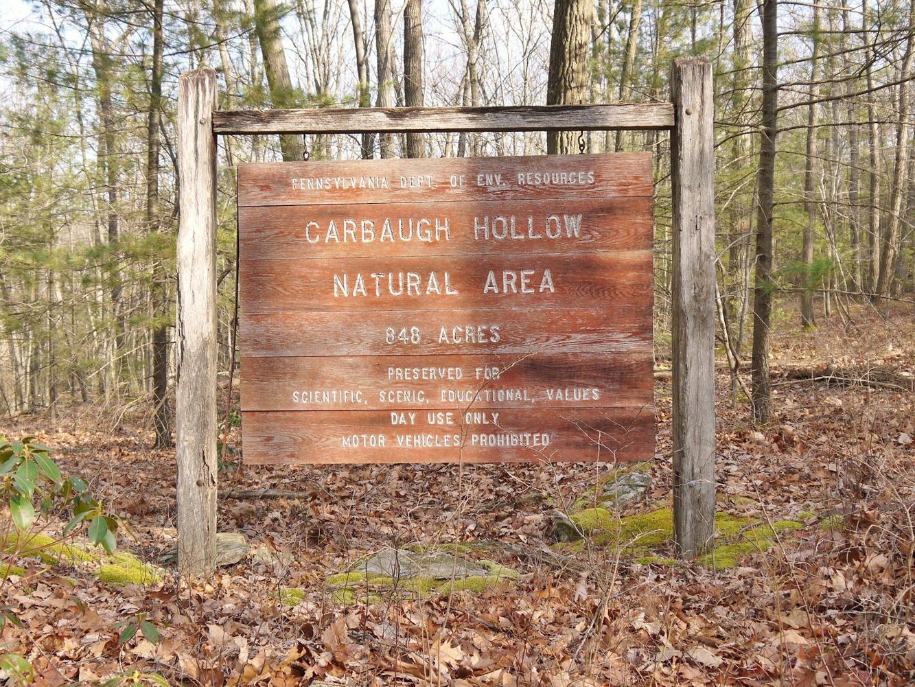 A little-known local archaeological site | Vts Community News | shipnc.com