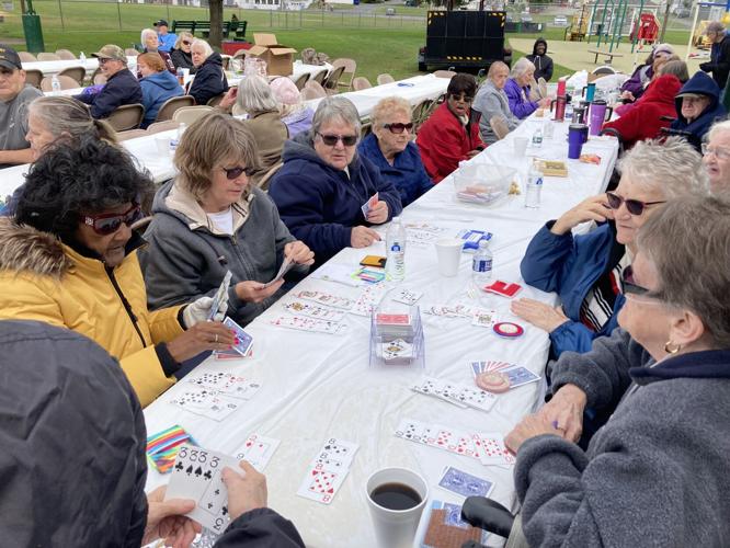 Young at heart: Cumberland County seniors cherish Active Aging Picnic ...