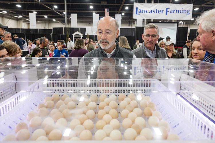 Wolf kicks off 2020 Pennsylvania Farm Show, invites Pennsylvanians to ...