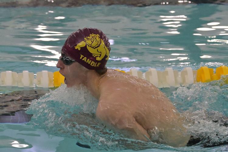 Bulldog Swimming Splits Meet with the Greyhounds | Valley Times Star ...